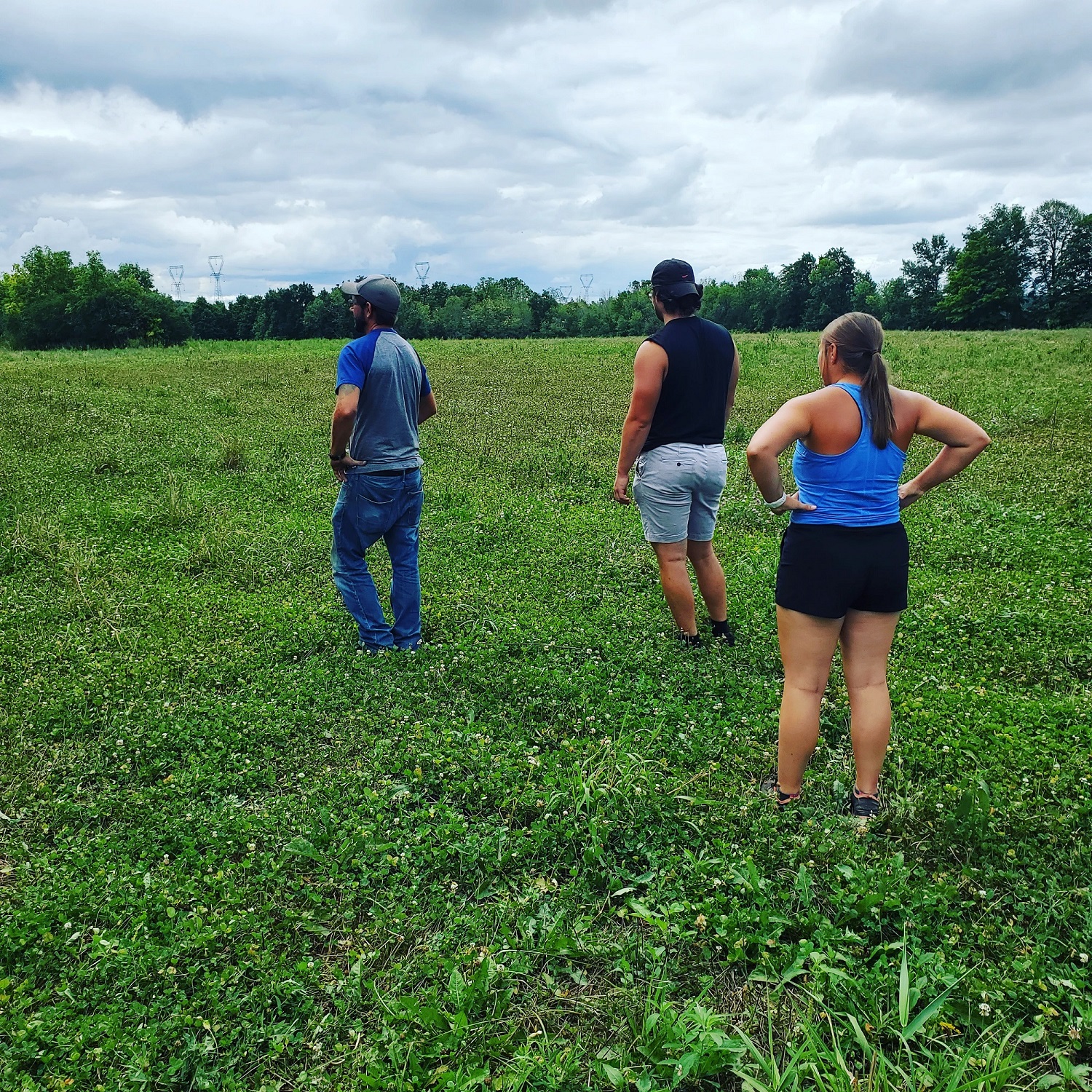 FarmForest Research purchases new research farm – FarmForest Research